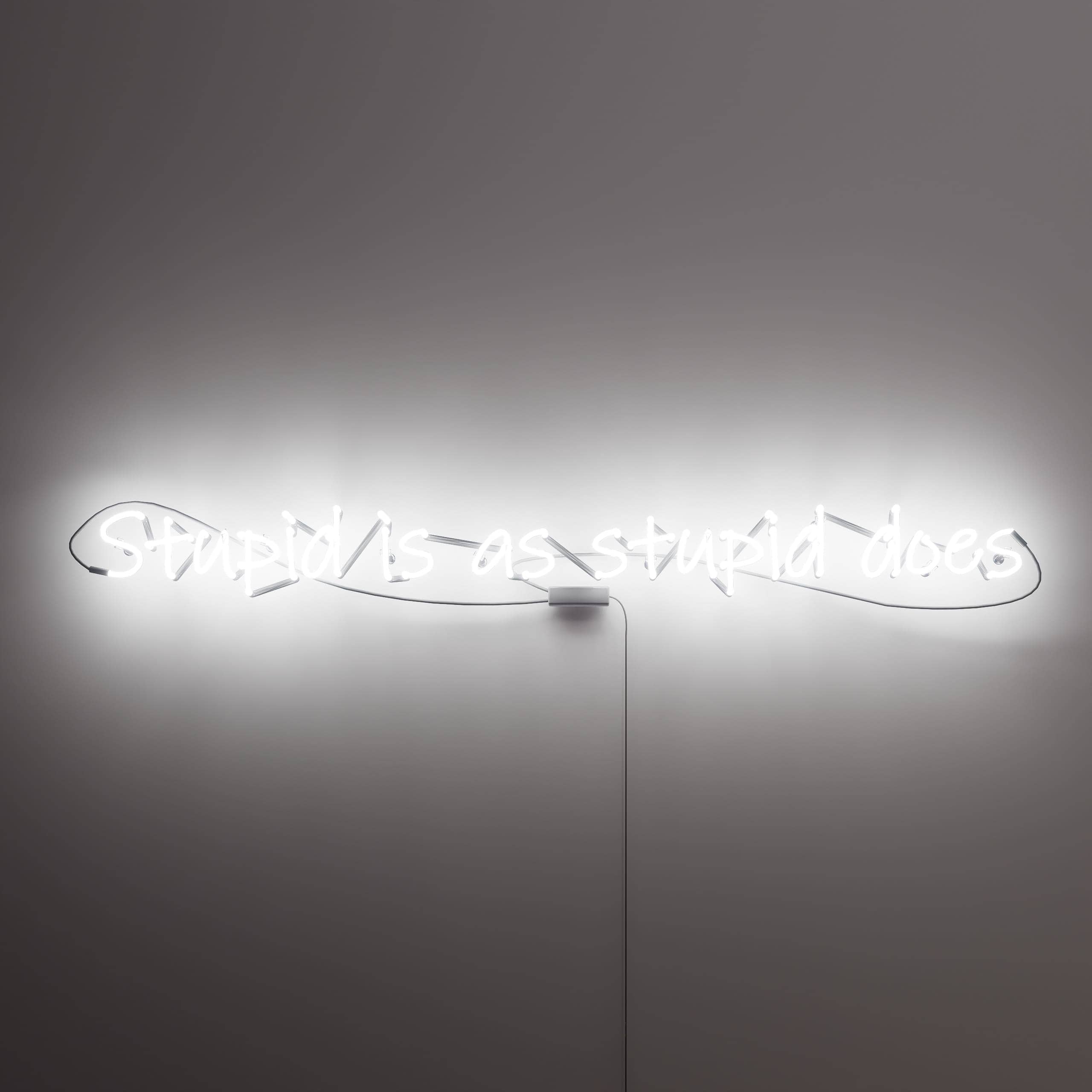 Retro neon light signs Stupid is as stupid does — NeonsignLife ...